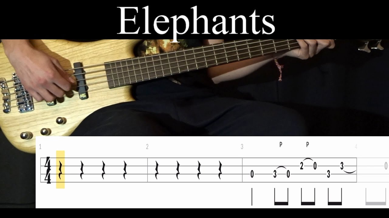 Elephants (Them Crooked Vultures) - Bass Cover (With Tabs) by Leo Düzey ...