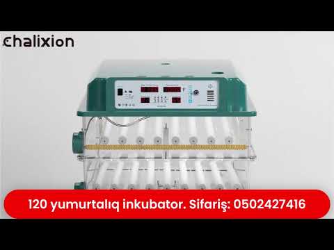 120 yumurtalıq tam avtomat inkubator