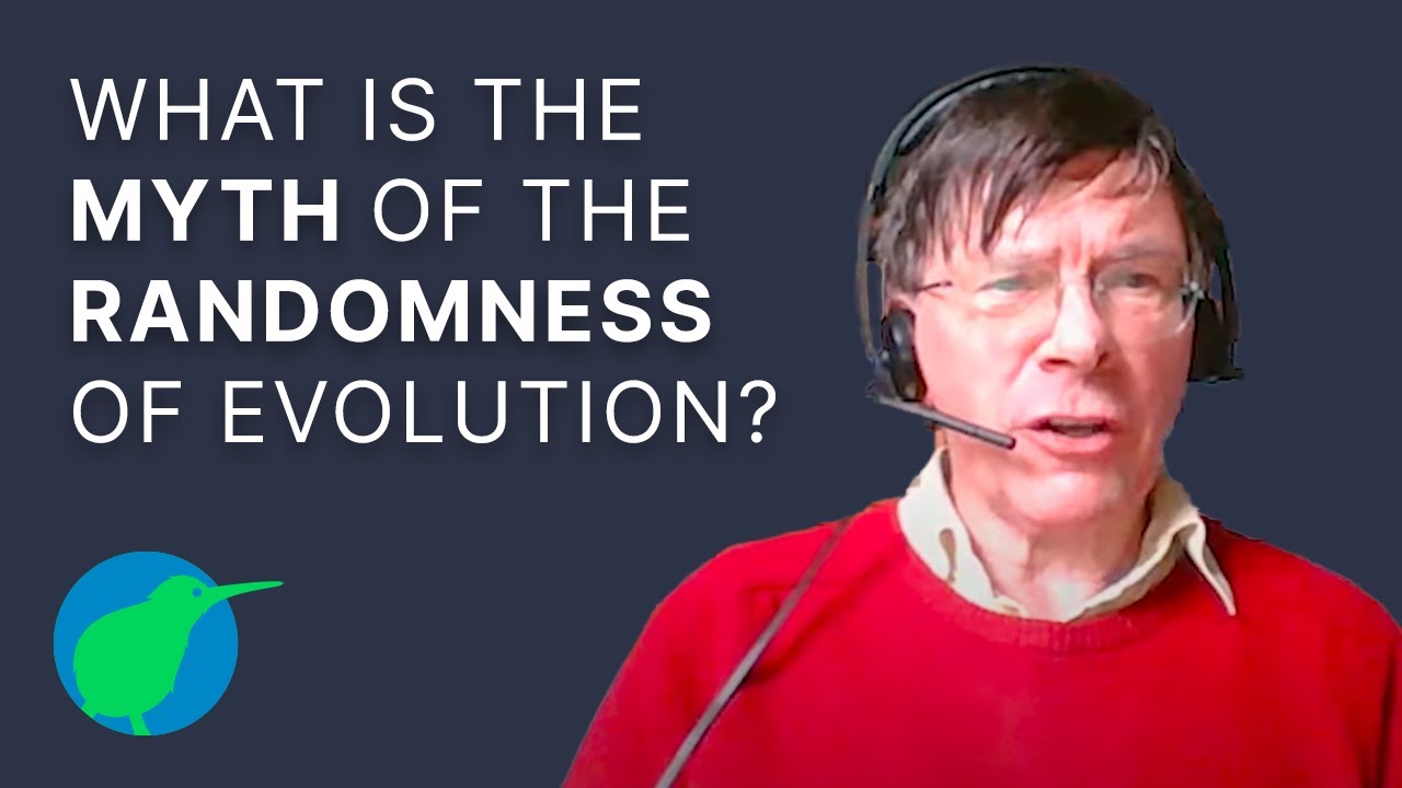 What Is The Myth Of Randomness Of Evolution? - YouTube