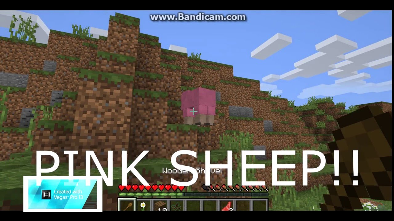 PINK SHEEP! - Minecraft Survival - YouTube
