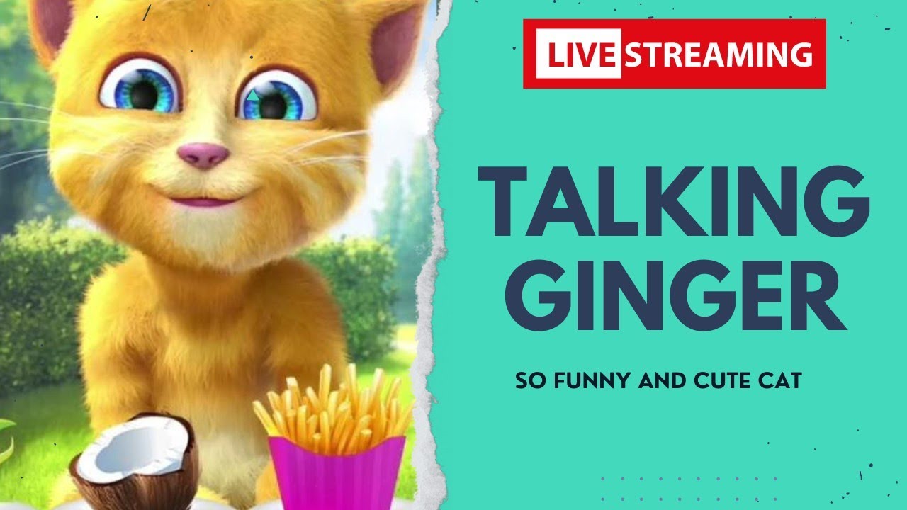 TALKING GINGER is Verry Funny Cat and so Cute - YouTube