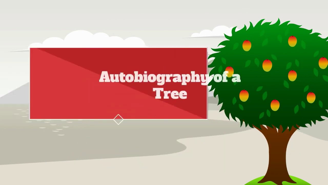 Autobiography of a tree - YouTube