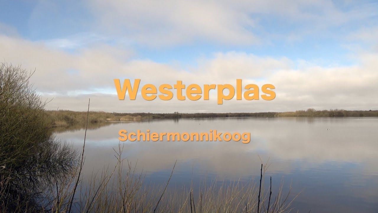 Westerplas te Schiermonnikoog - YouTube