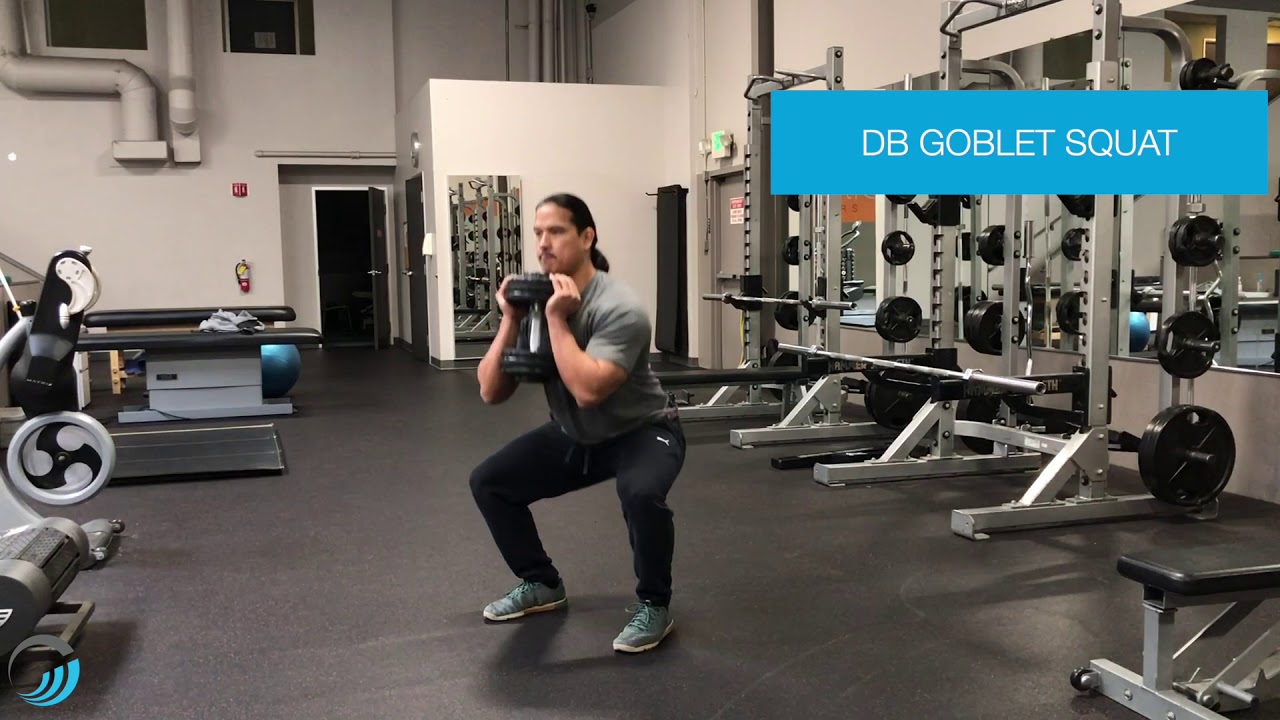 Dumbbell (DB) Goblet Squat - YouTube