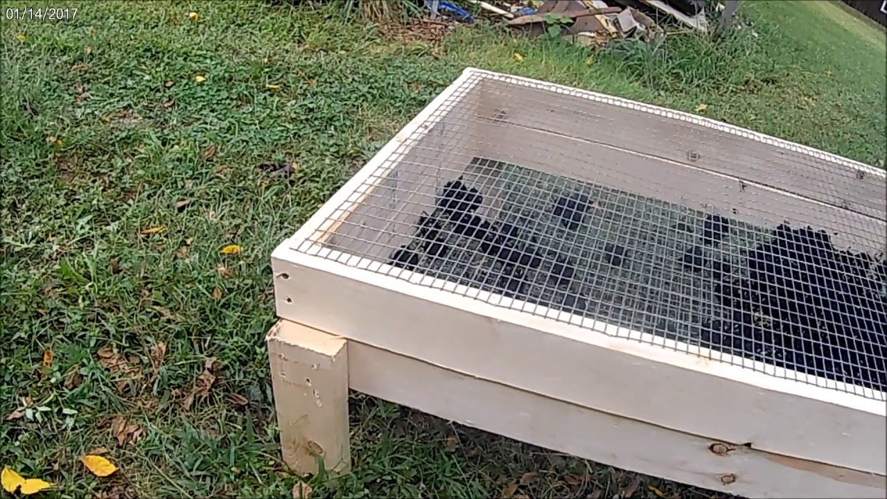 black walnut washing screen - YouTube