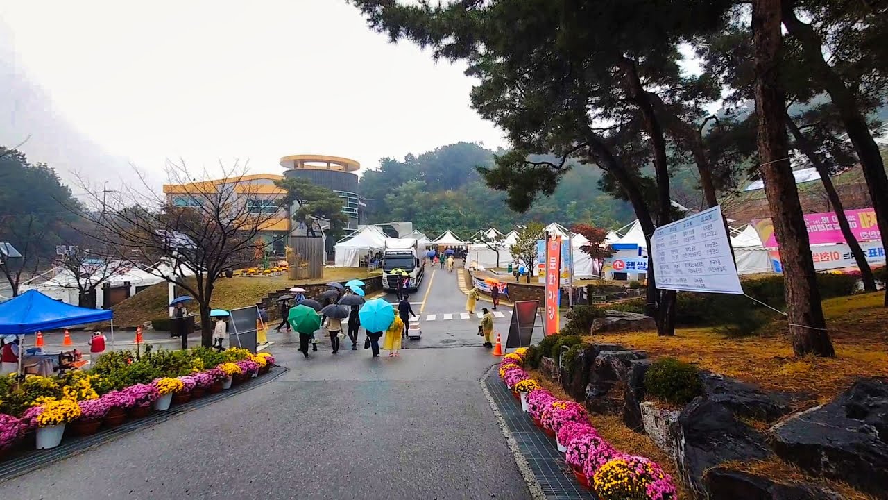 【利川米文化節 이천쌀문화축제】小山丘 Icheon Rice Culture Festival, GYEONGGI DO (Korea ...