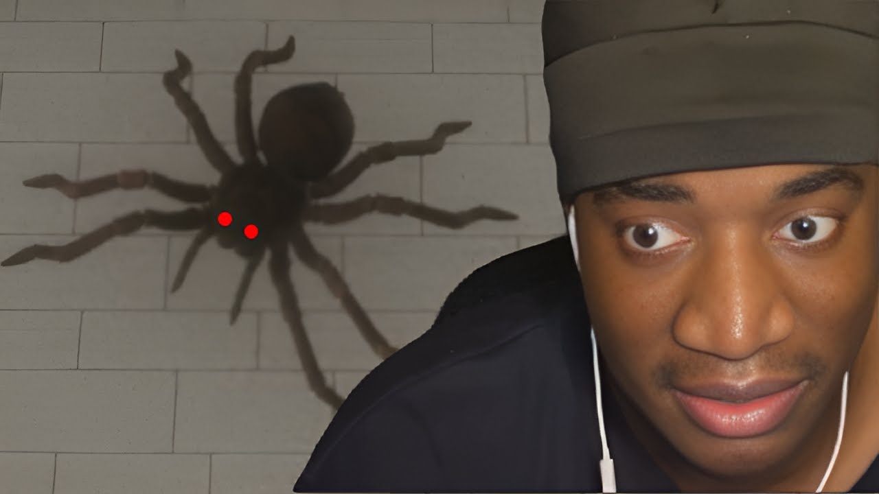 Every Spider Jumpscare in Fever Meme - YouTube