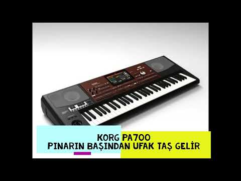 KORG PA700 & PINARIN BAŞINDAN UFAK TAŞ GELİR