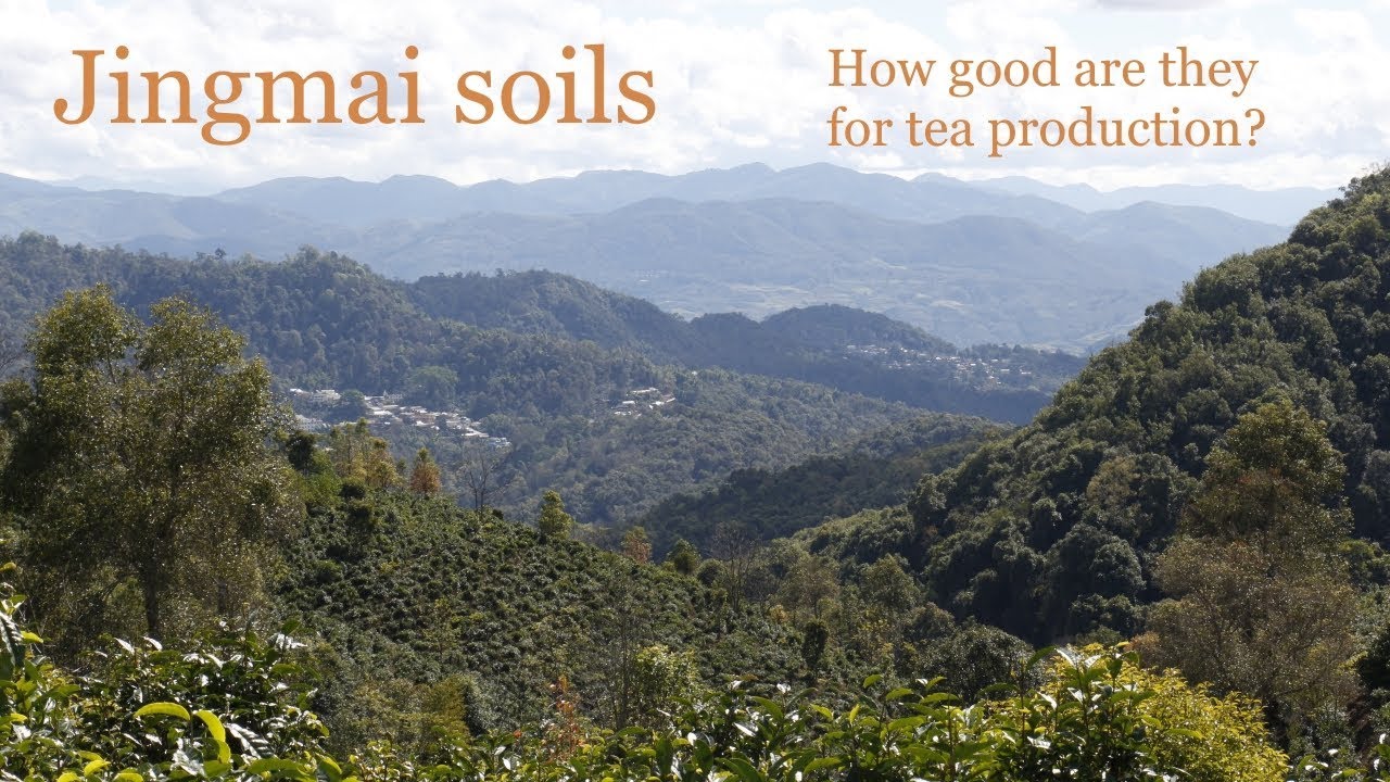 Jingmai tea soils - part 1- Soil texture and properties - YouTube