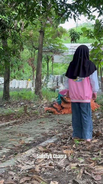 Dua cewek dikejar can macanan dihutan - YouTube