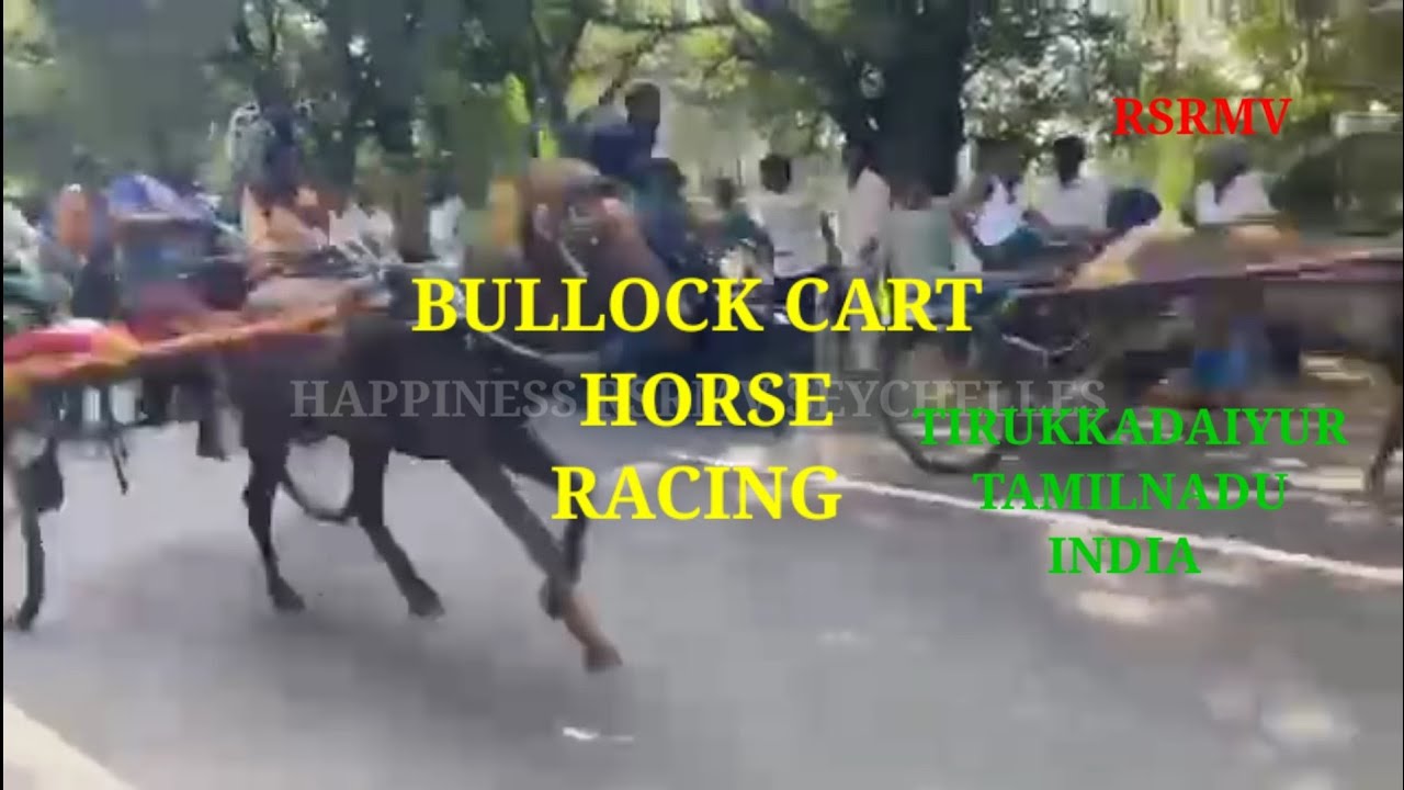 horse racing - YouTube