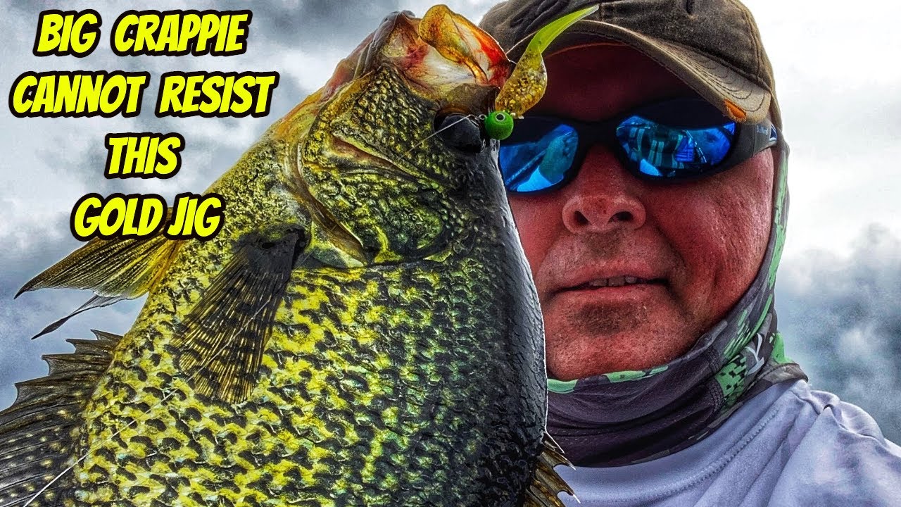 BIG CRAPPIE CANNOT RESIST THIS GOLD JIG- Crappie Jigs for Slabs! - YouTube