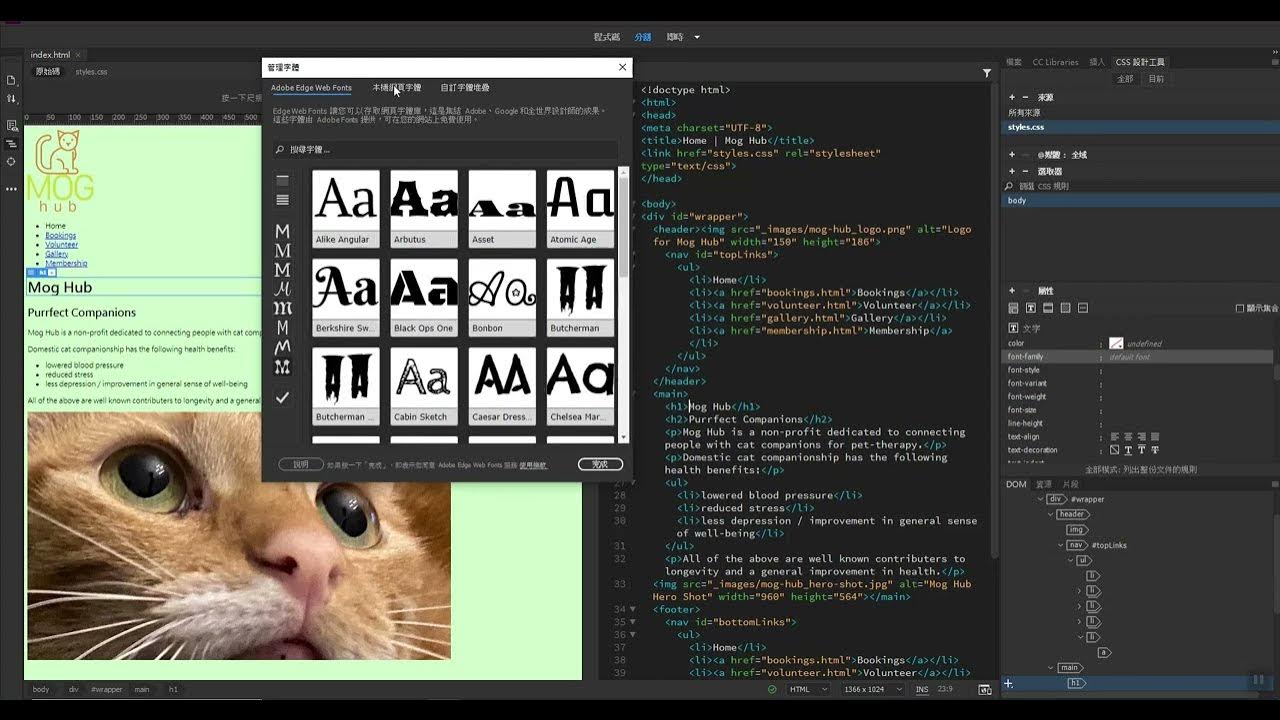 Dreamweaver : Using the CSS Designer Part-3 - YouTube