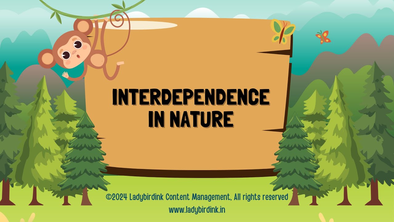 What is Interdependence (of Living Things) in Nature? - YouTube