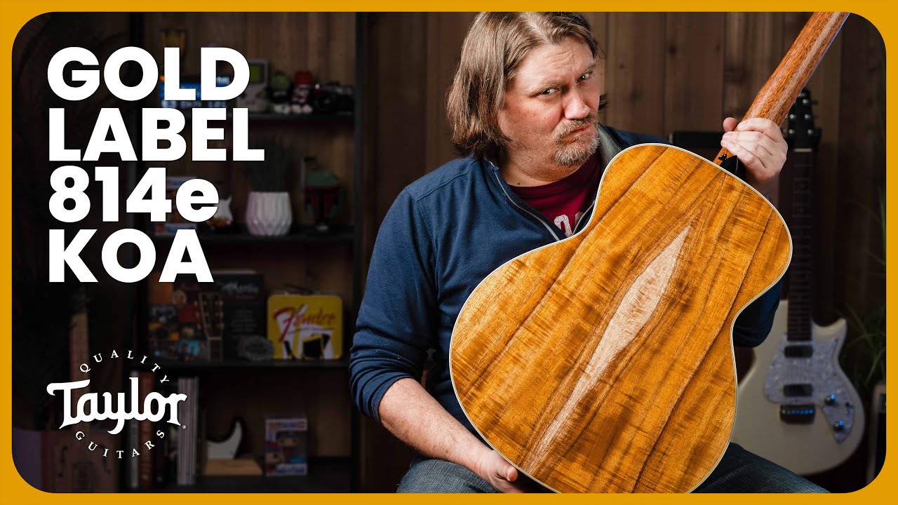 Taylor Guitars Gold Label 814e Hawaiian Koa Acoustic-Electric Guitar ...