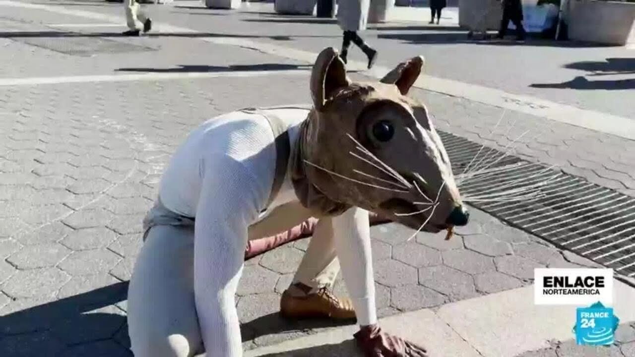 Las extremas medidas para combatir la invasión de ratas en Nueva York ...