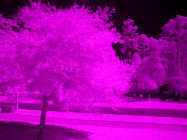 Kodak EasyShare Z710 Converted for Infrared / Full Spectrum - Daylight Test