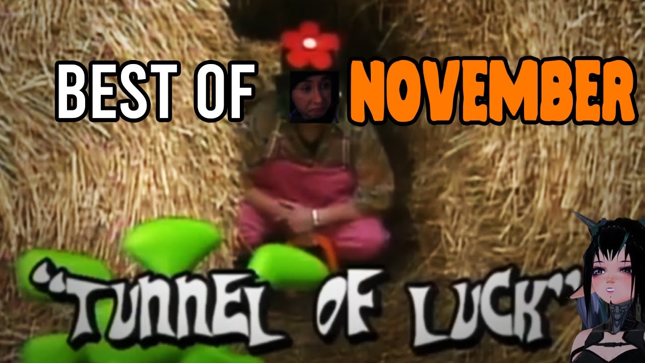 Best of KatLink | November 2021 - YouTube