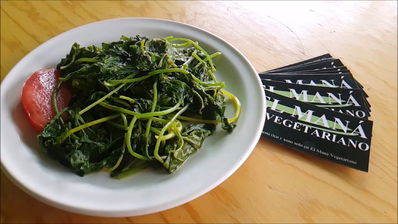 Malvas en su jugo - YouTube