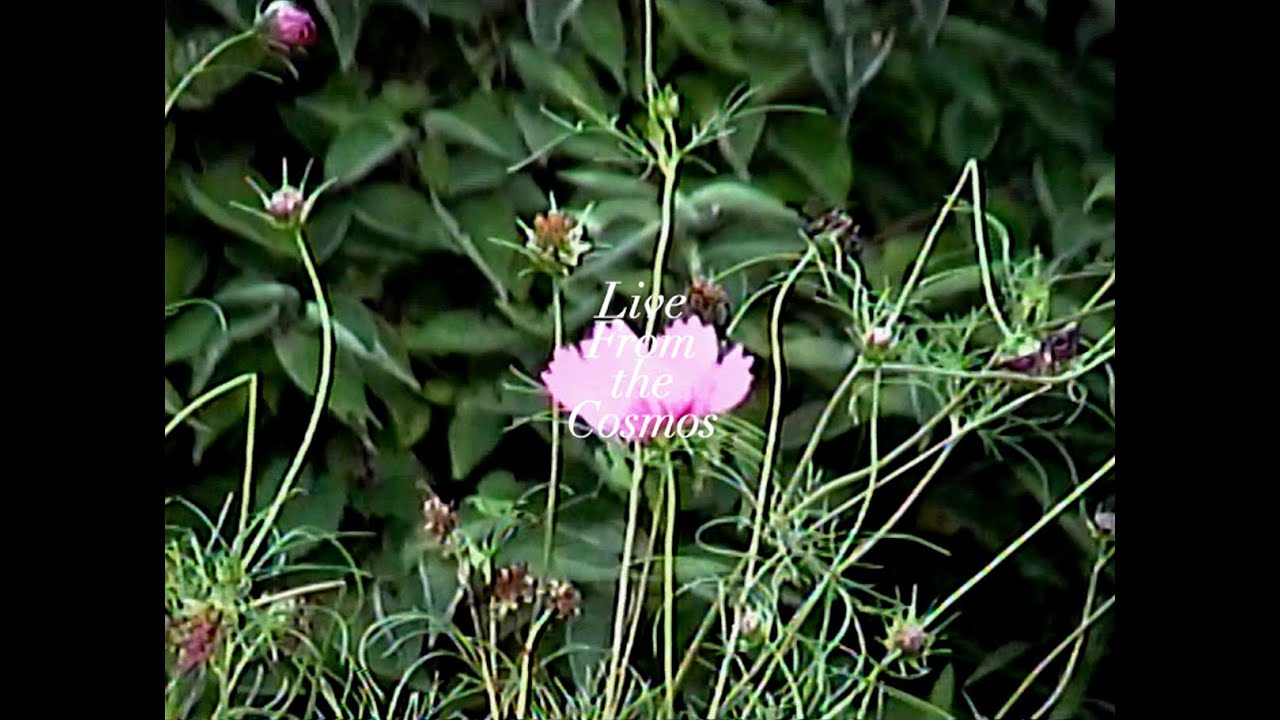 Yokefellow - Live From the Cosmos (debut EP) - YouTube