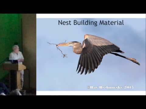 SRCreek: Lecture by ©Ray Rychnovsky - SRC's Amazing Wildlife - July 18 ...