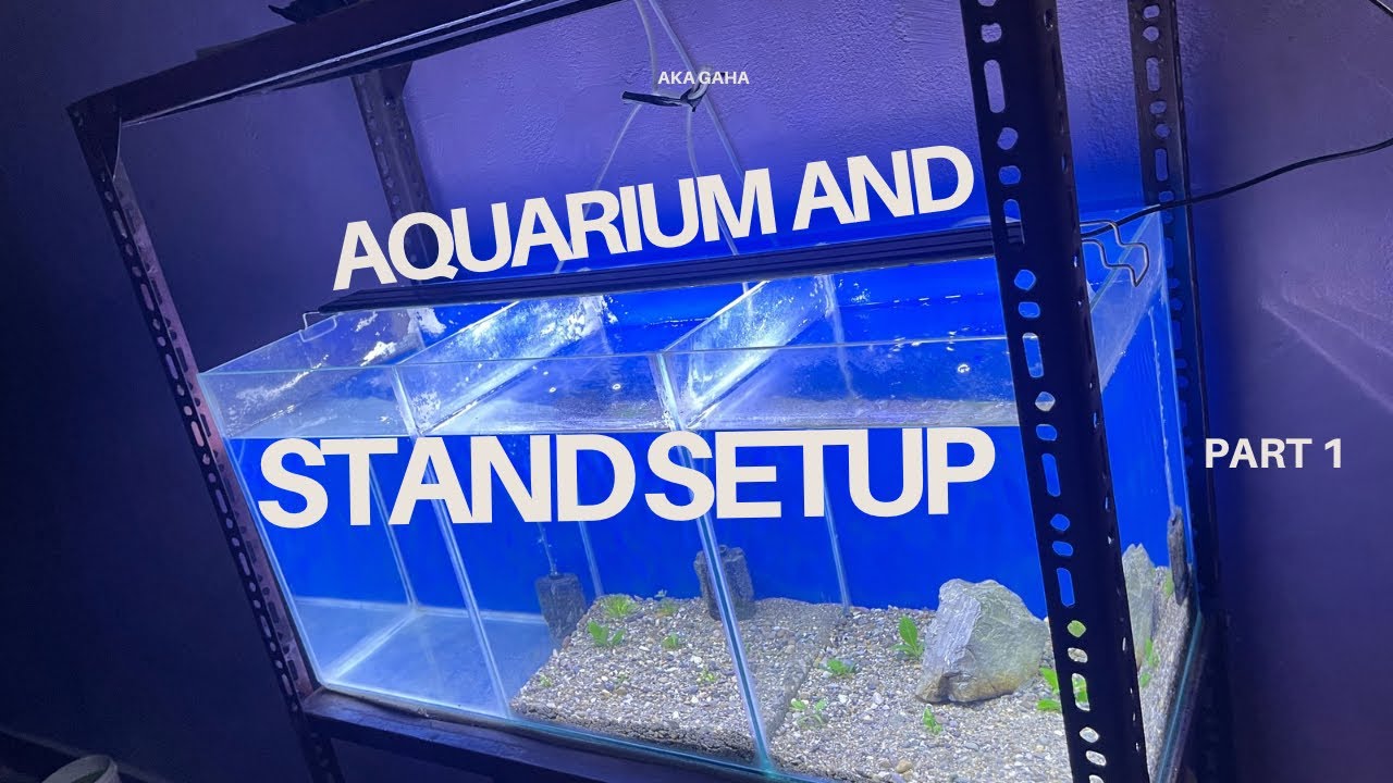 Quick setup of second hand aquarium and aquarium rack / stand ...