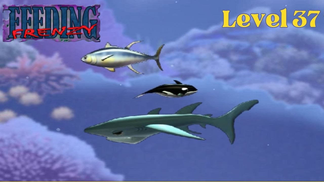 Feeding Frenzy [PC] | Stage 37: Merry Go Round - YouTube