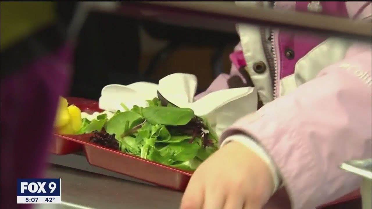 Explainer: What the free school lunch bill will mean for families - YouTube