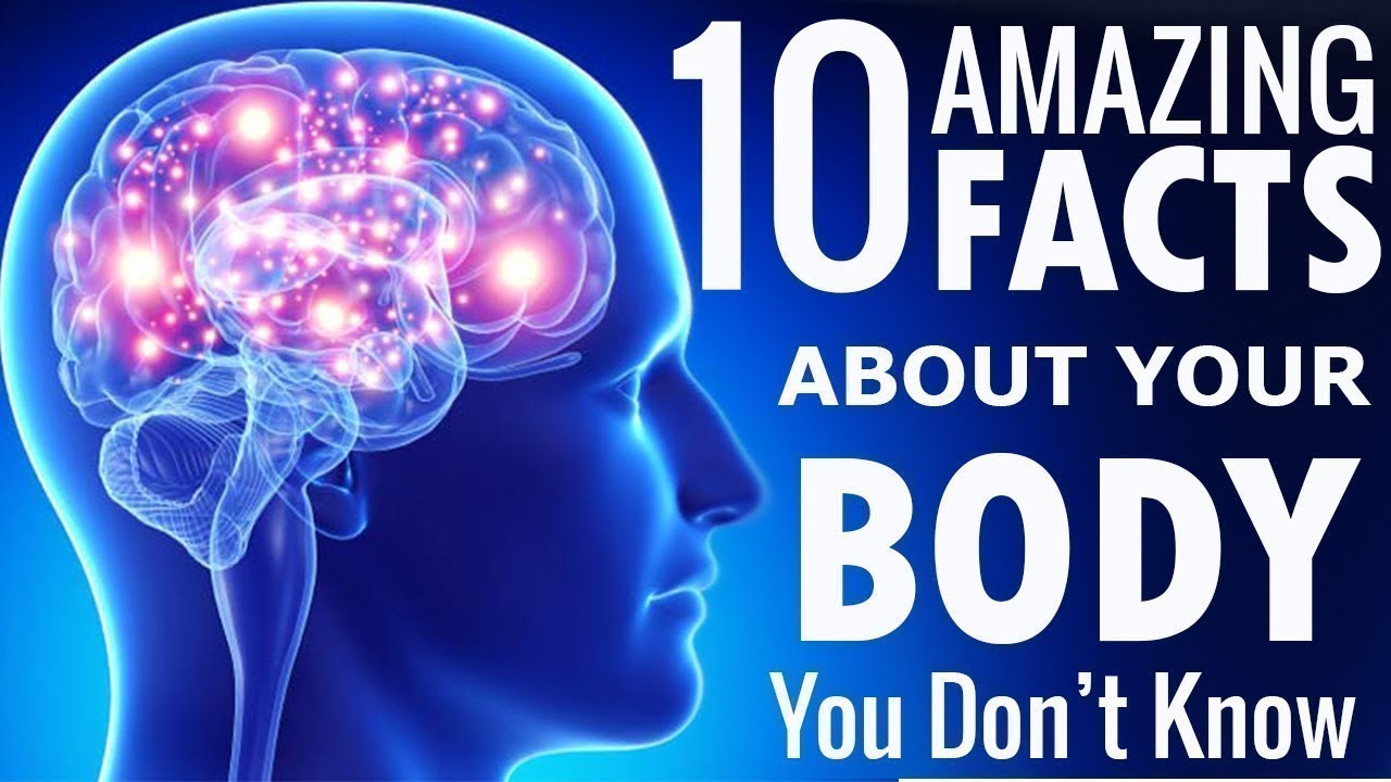 10 Crazy Facts About the Human Body You Won't Believe! - YouTube