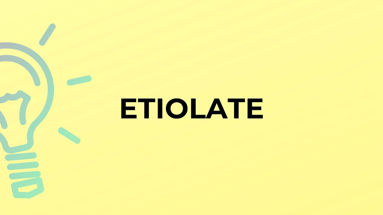 What is the meaning of the word ETIOLATE? - YouTube
