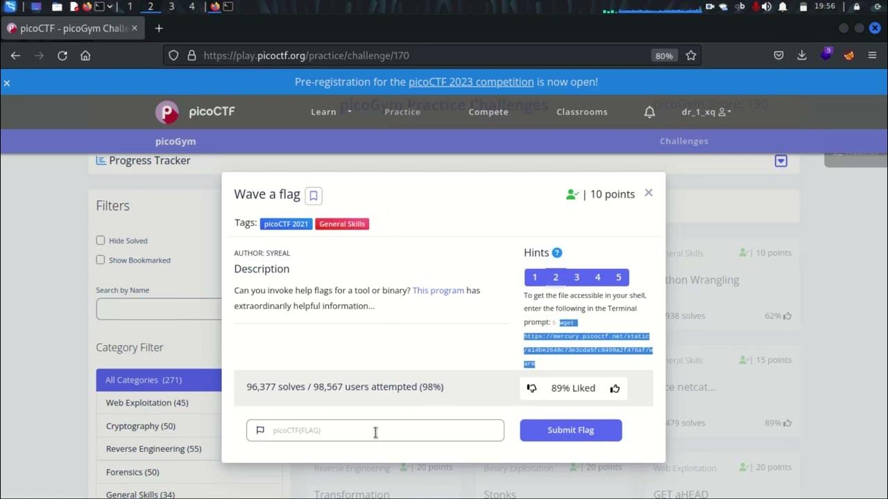Wave a Flag | PICOCTF - YouTube
