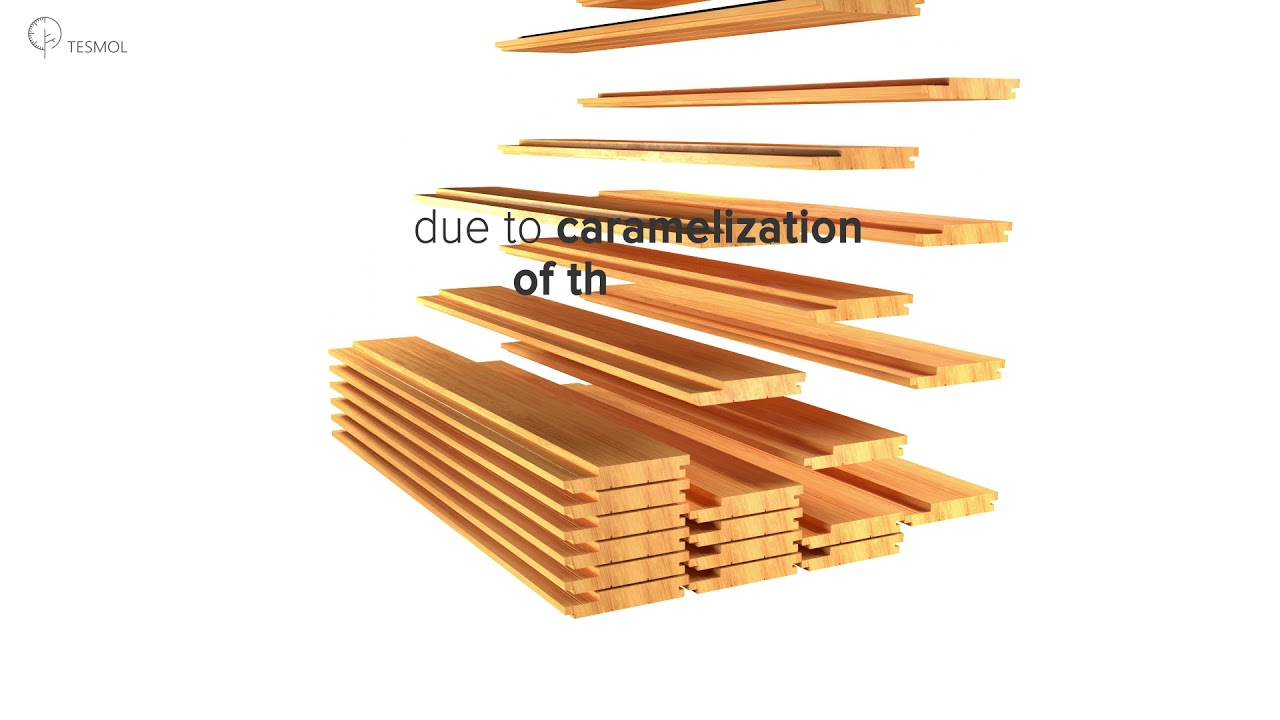 THERMOWOOD TECHNOLOGY (UKRAINE, TESMOL) - YouTube