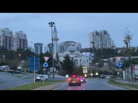 Insignia Snap / Simge Ne güzel