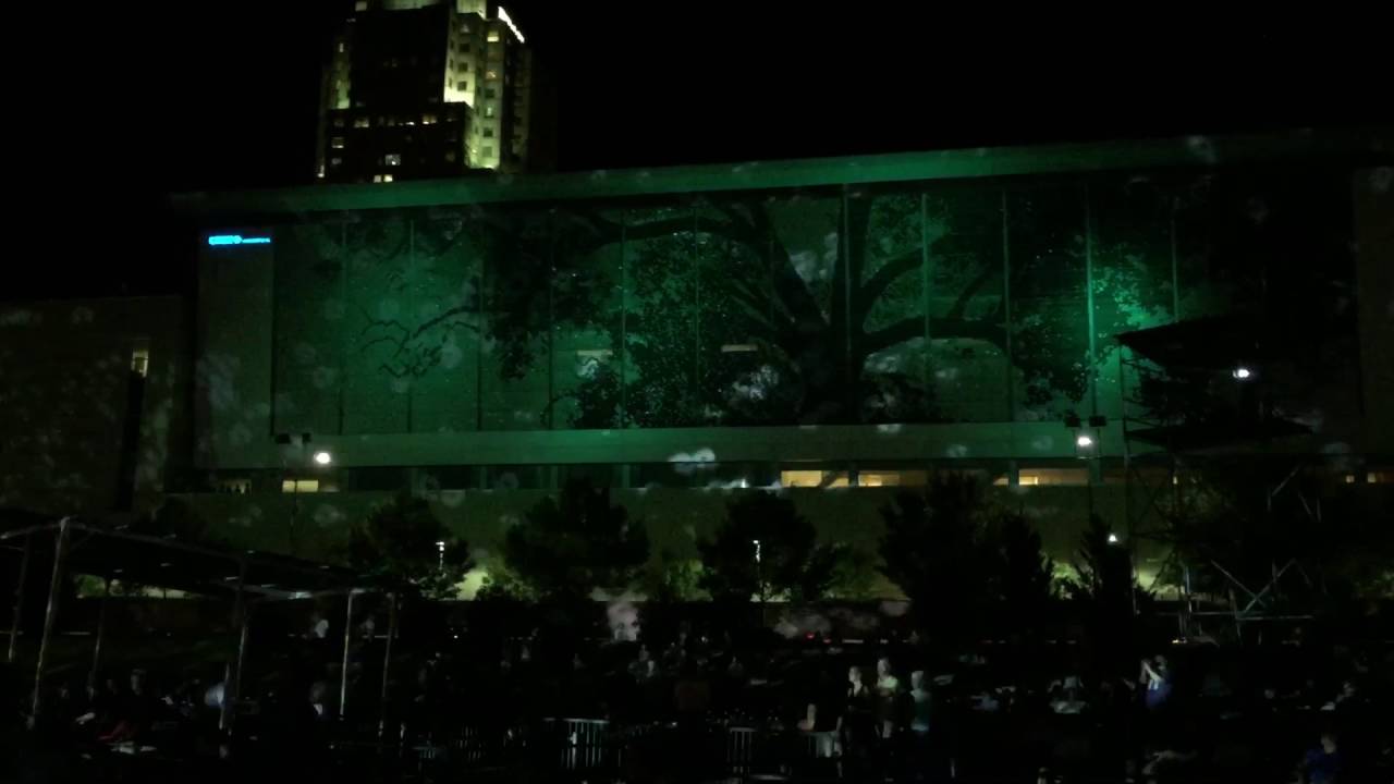 RALEIGH shimmer wall during Joe Walsh concert - YouTube
