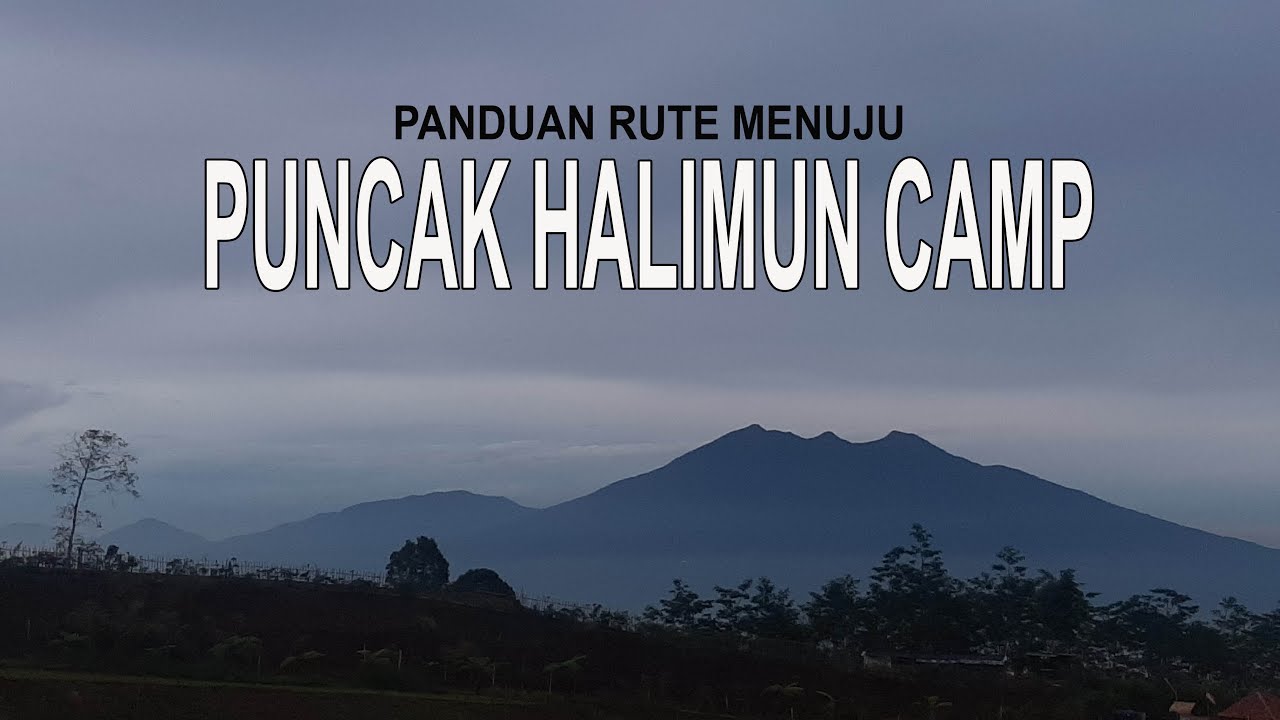 panduan rute menuju PUNCAK HALIMUN CAMP - YouTube
