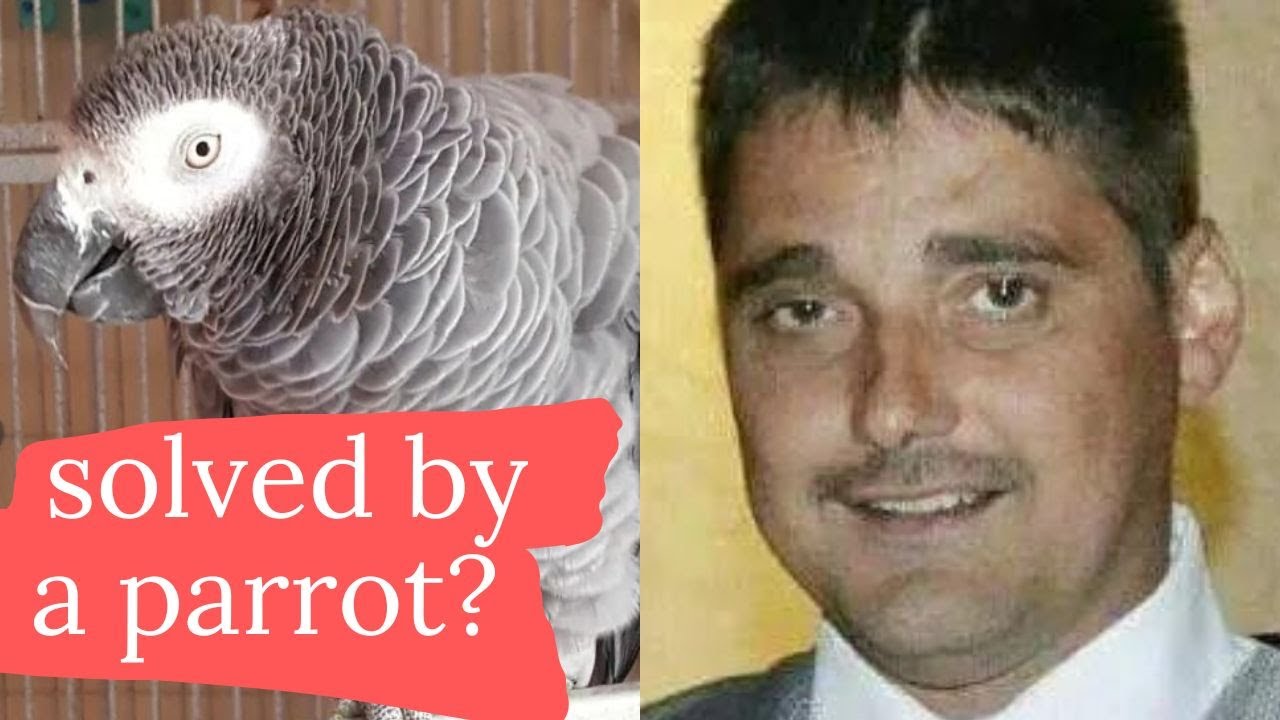 the controversial case of marty & glenna duram | solved by a parrot ...