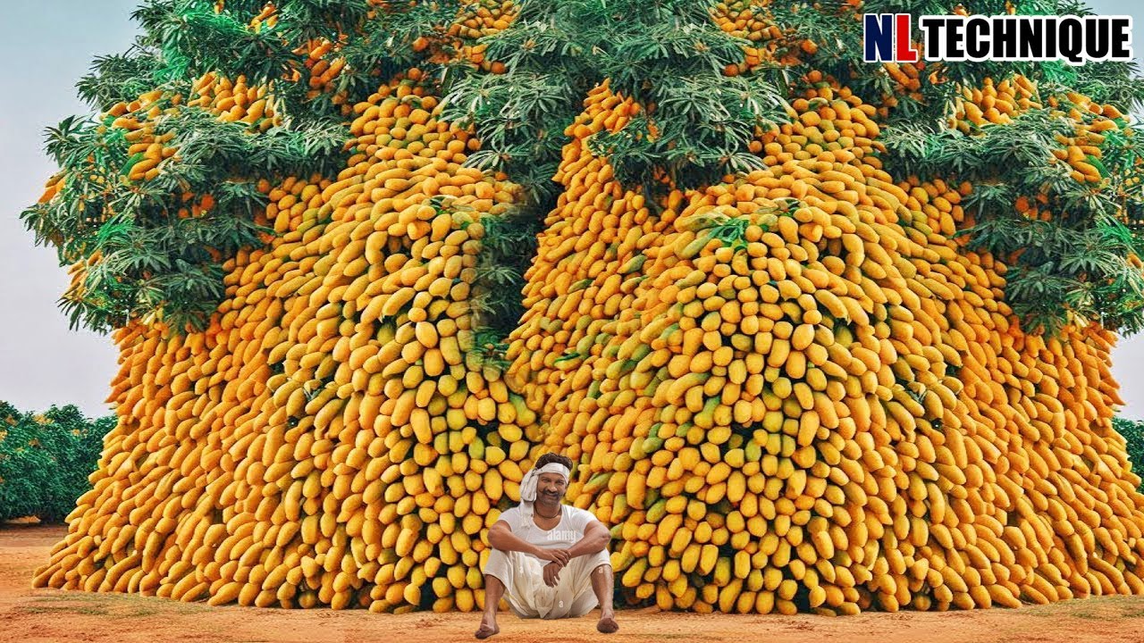 The Most Modern Agriculture Machines That Are At Another Level , How To ...