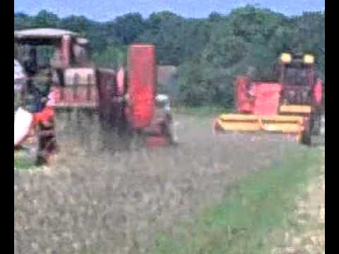 zmaj 780 i zmaj 133 u pšenici 2010 - YouTube