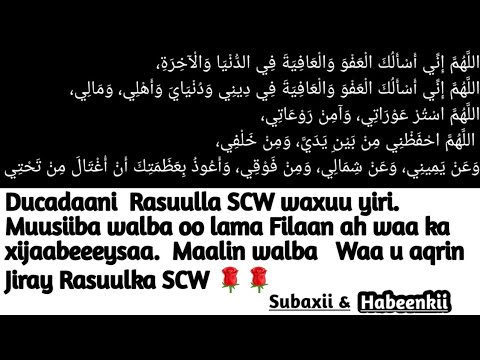 Isku Xijaab Ducadaan oo Xifdi inshlah