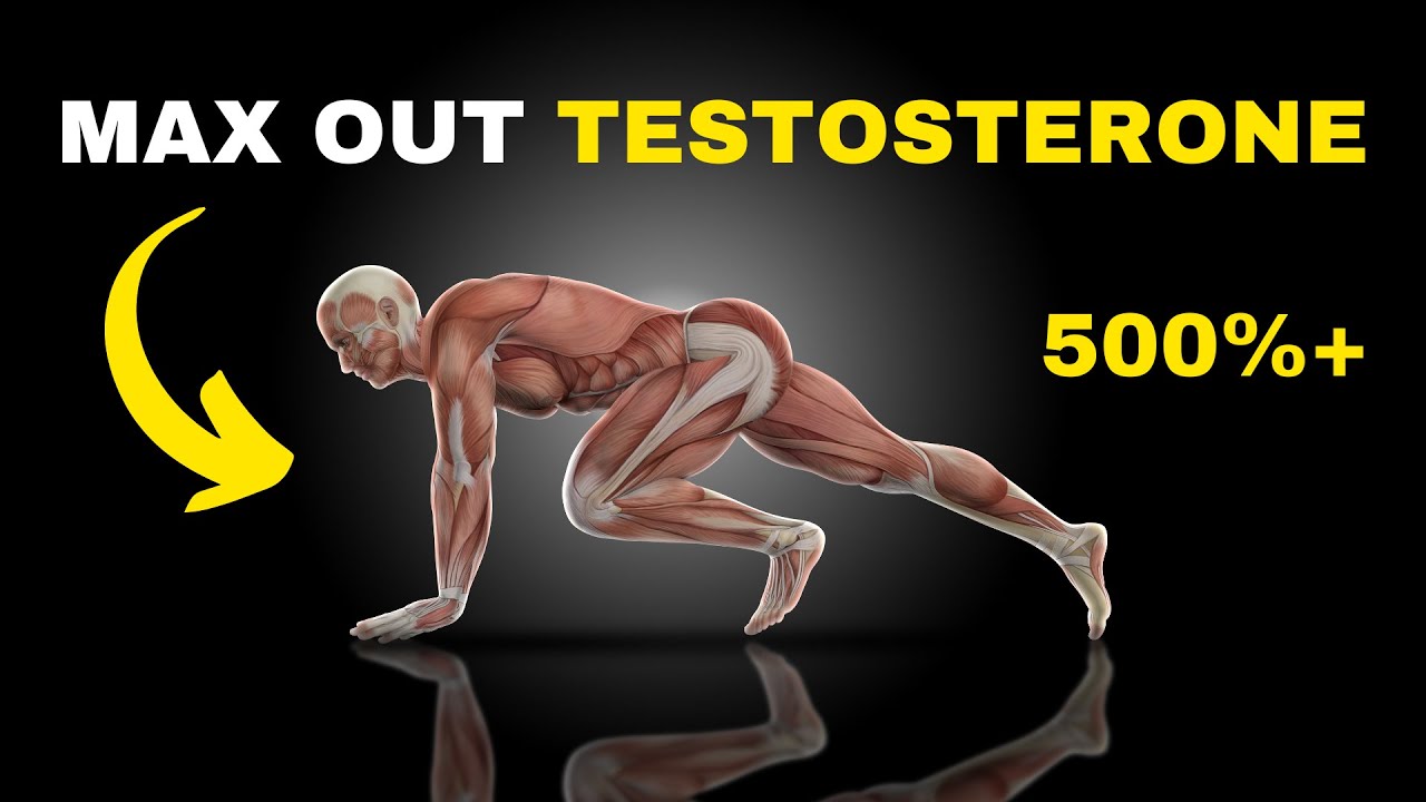5 Most Testosterone Boosting Strategies - YouTube