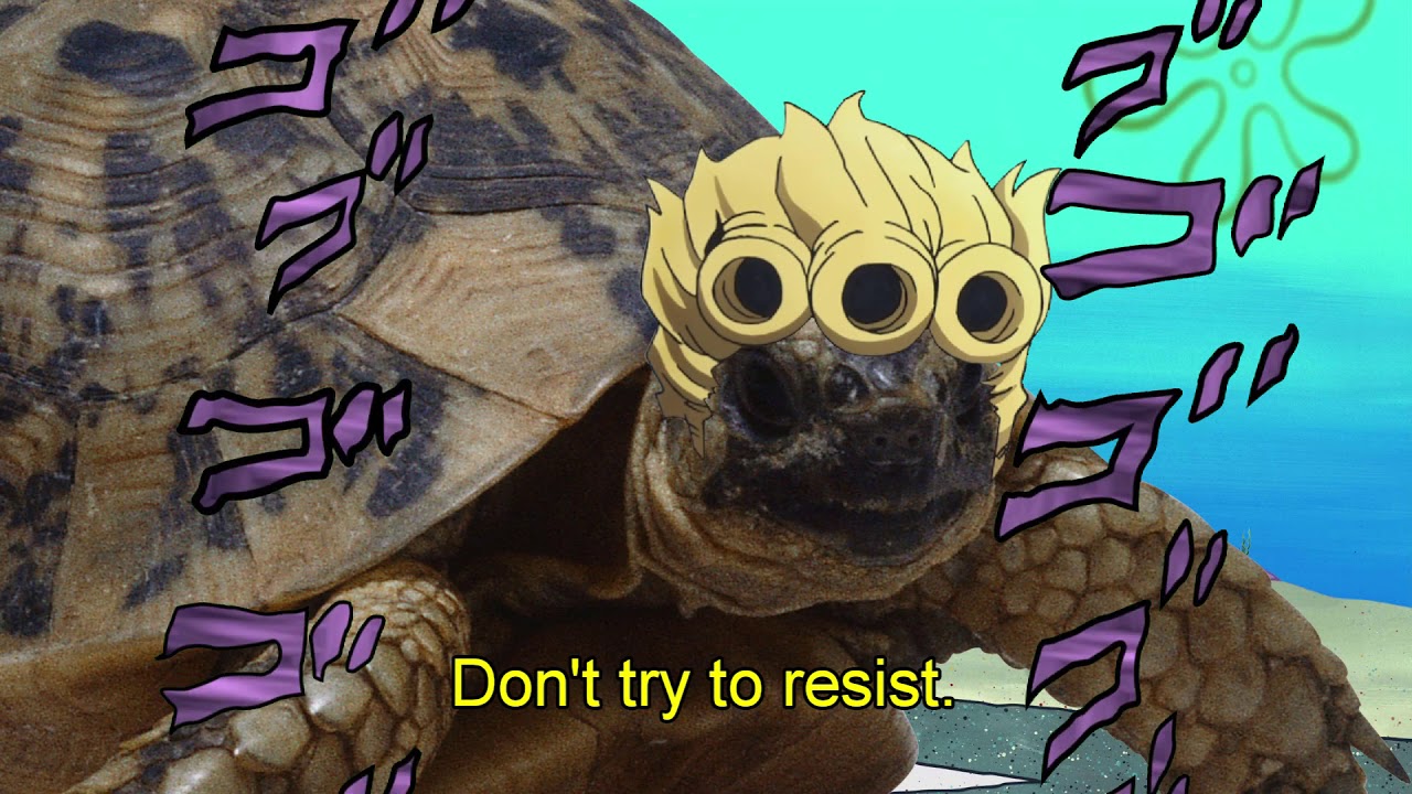 Is That a Jojo Turtle? - YouTube