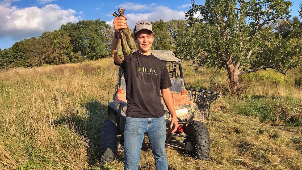 Hunting GIANT BULLFROGS with RIFLES (SQUIRREL, DEER, and FROG Hunting ...