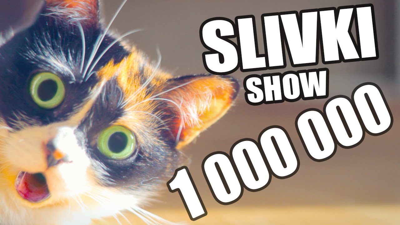 Сливки шоу 2024