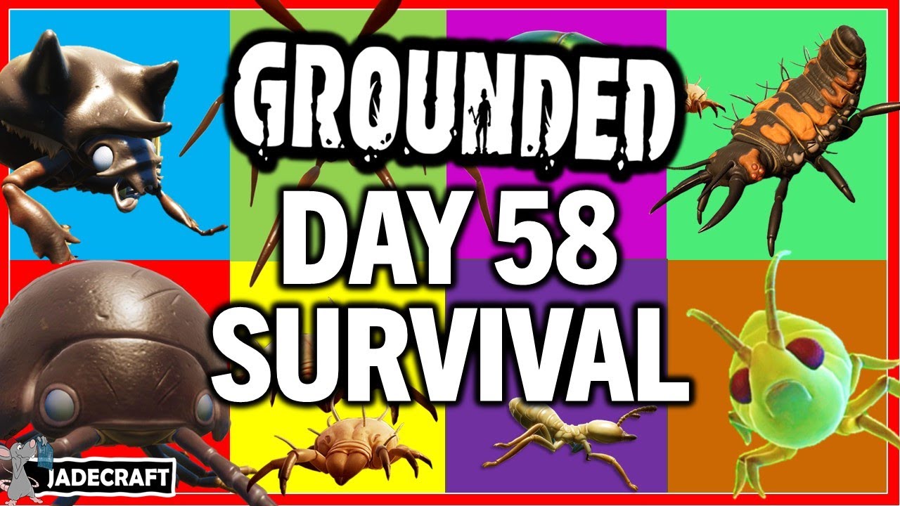 GROUNDED - 100 DAYS CONTINUES! HAZE LAB TIME! After The Bugs Strike ...