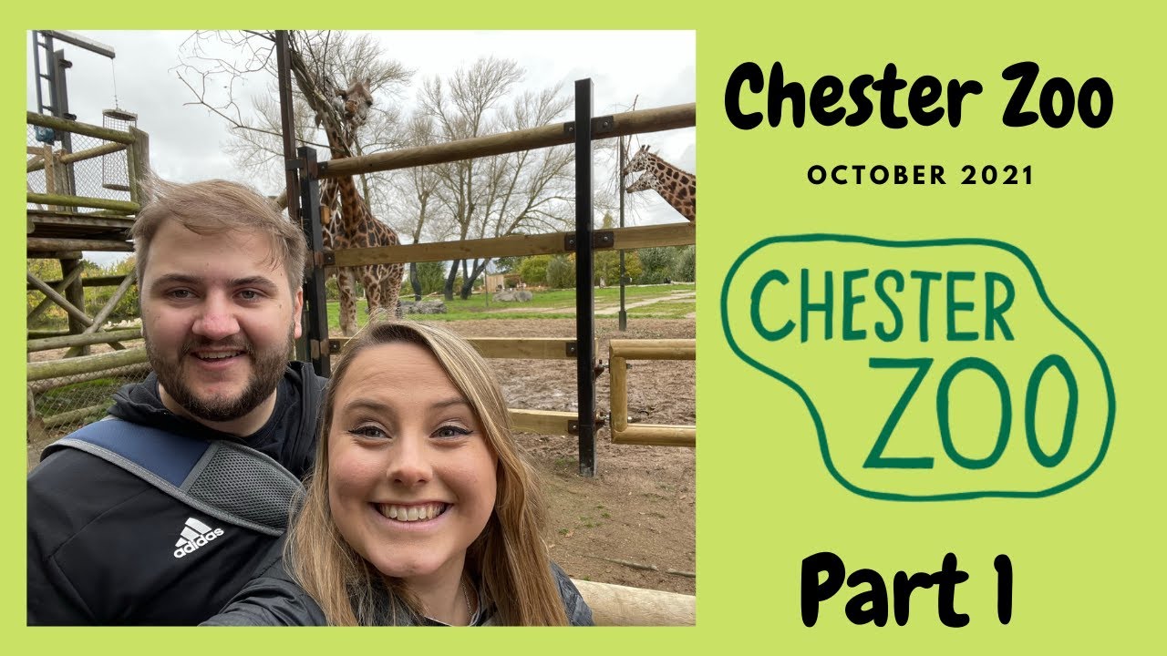 Chester Zoo Tour (October 2021) Part 1 - YouTube