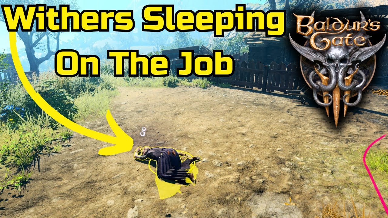 You Can Make Withers Sleep in Baldur's Gate 3 - YouTube