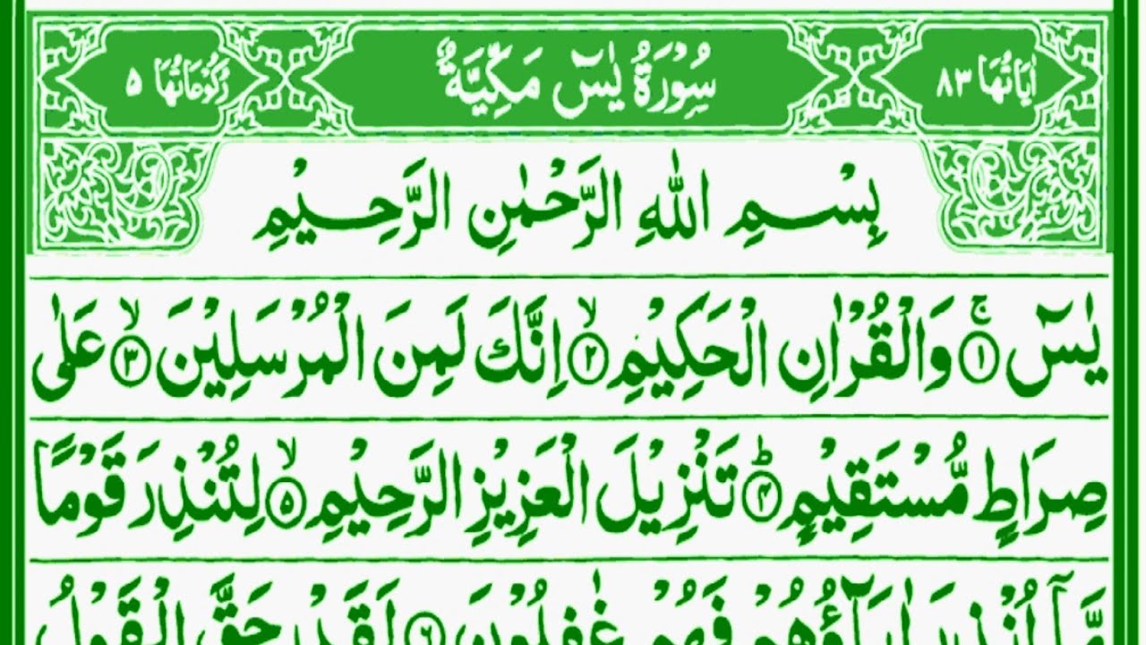 Surah Yasin(Yaseen) | Most viral Reciter Abdullah Shaban | New ...