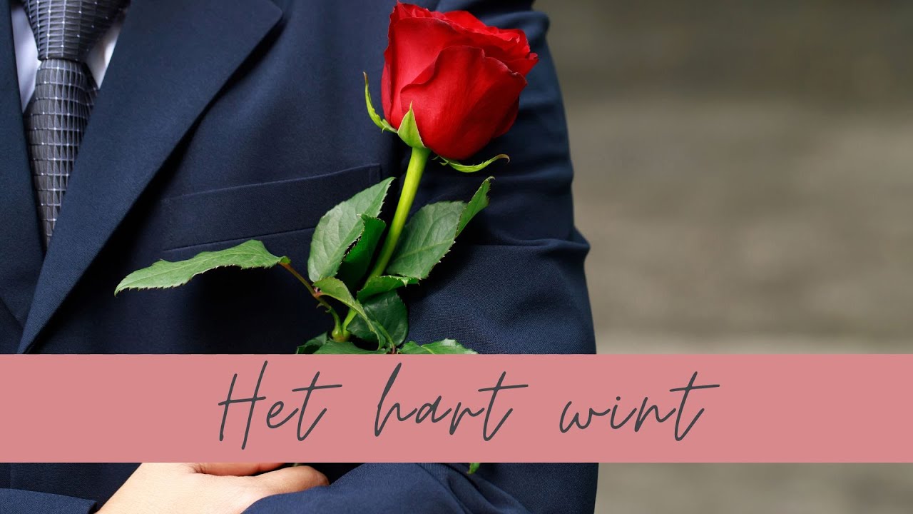 Tweelingzielen tarot reading | Het hart wint - YouTube