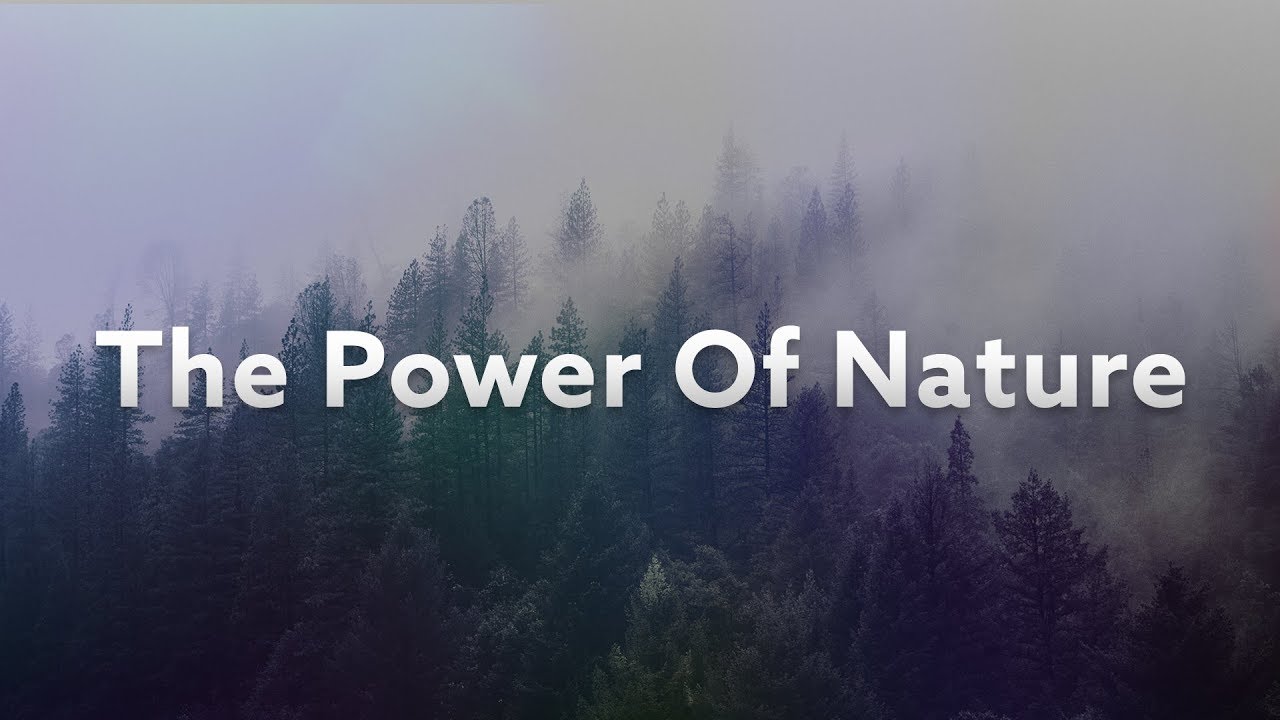The Power of Nature - Connect With Nature - 1 Minute Inspiration - YouTube