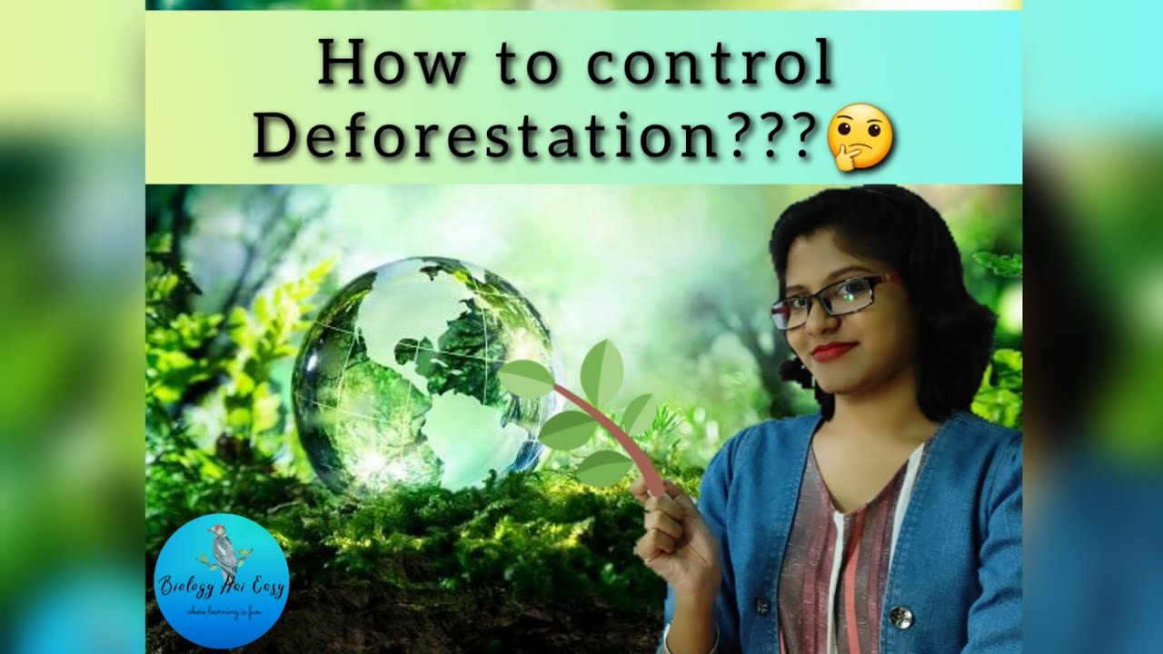 How to control deforestation??? - YouTube